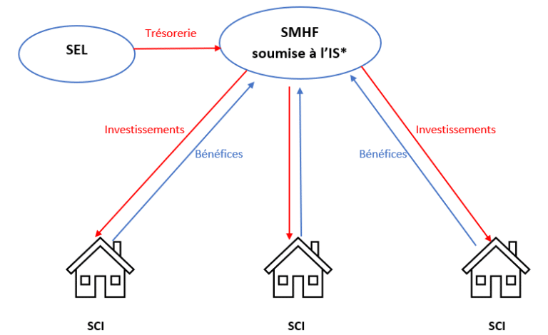 Les Holdings SPFPL et SMHF - Baris Stratégie